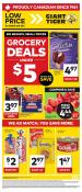 Giant Tiger Flyer June 24 - 30 2026
