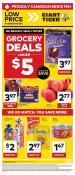 Giant Tiger Flyer June 17 - 23 2026