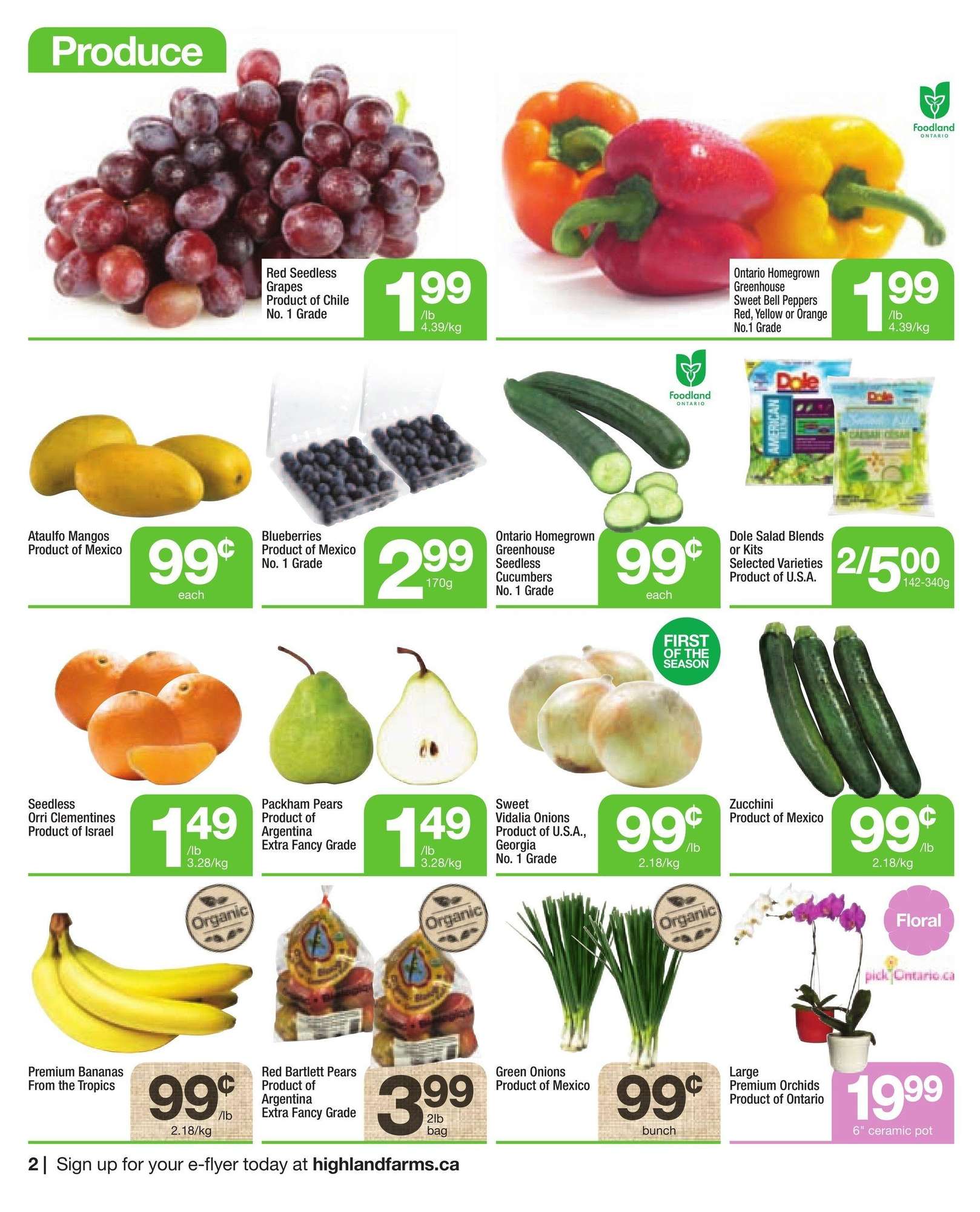 Highland Farms Flyer