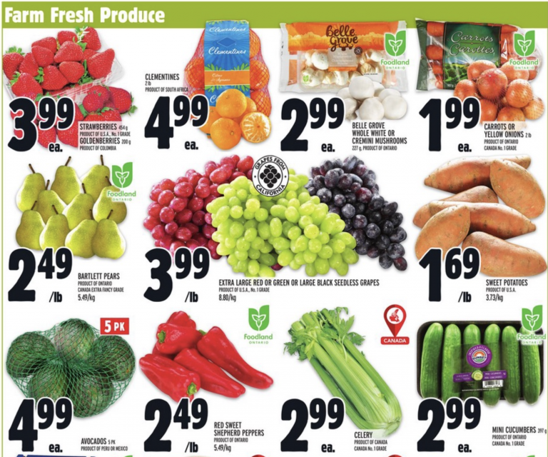 Metro Flyer Coupon Deals 9 Sept 2024 Special Offers