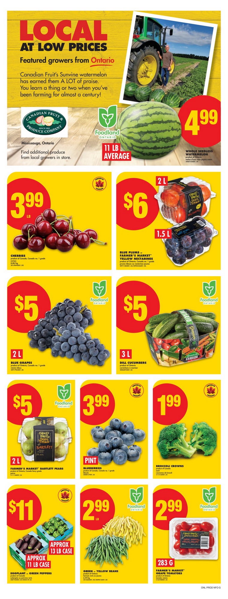No Frills Flyer Special Offers 23 Aug 2025